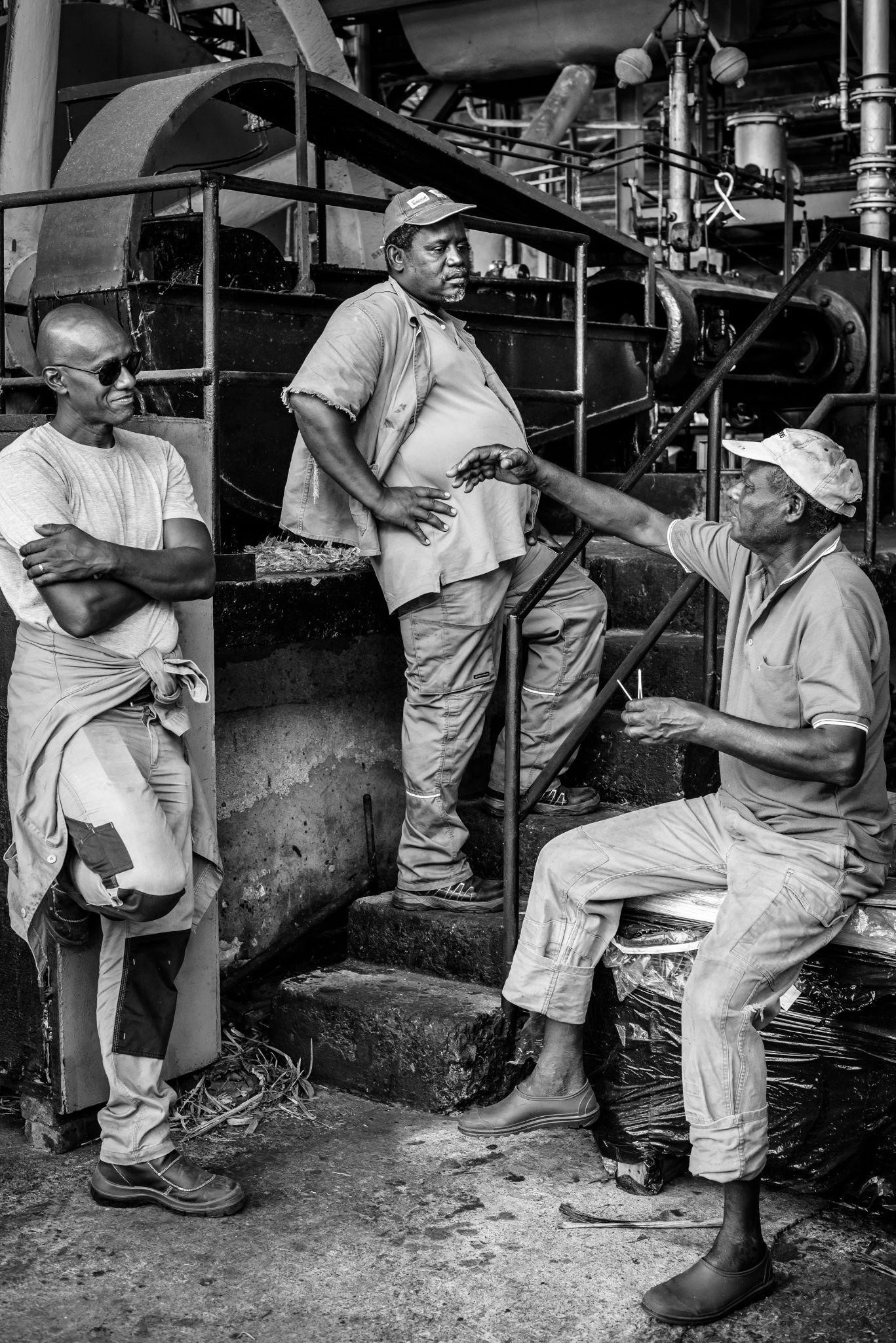 Notre Distillerie - Distillerie Montebello